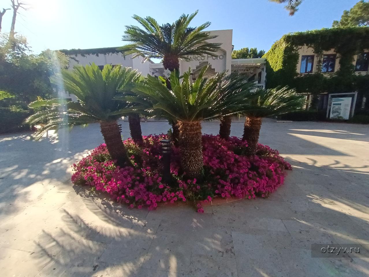 Club Marco Polo HV-1 / Страница 440